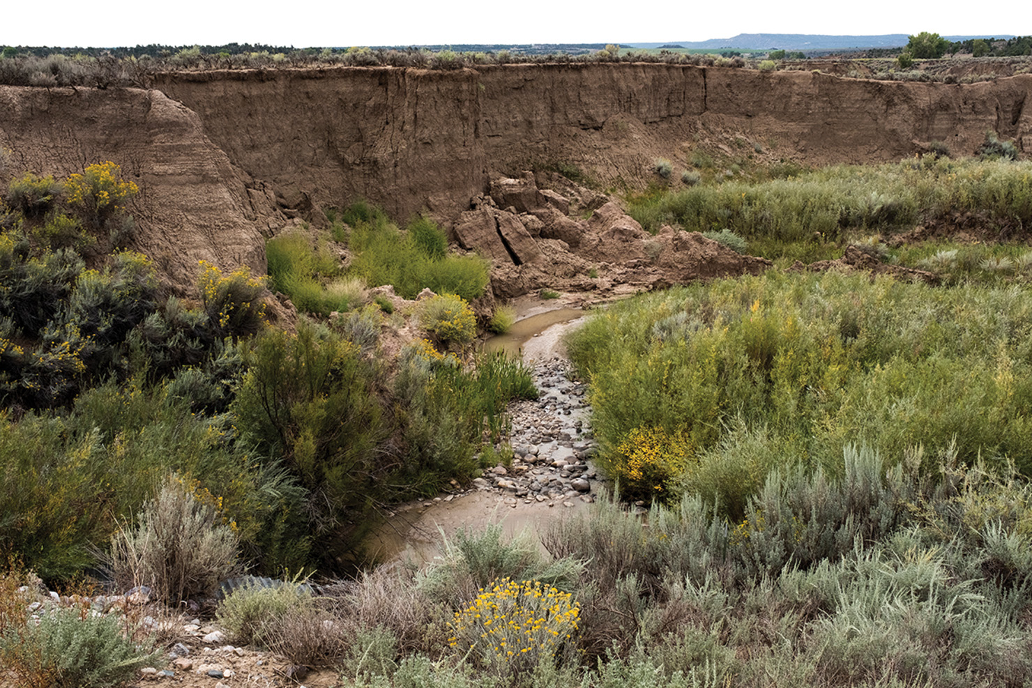 EPD sets sights on Spring Creek restoration – The Southern Ute Drum