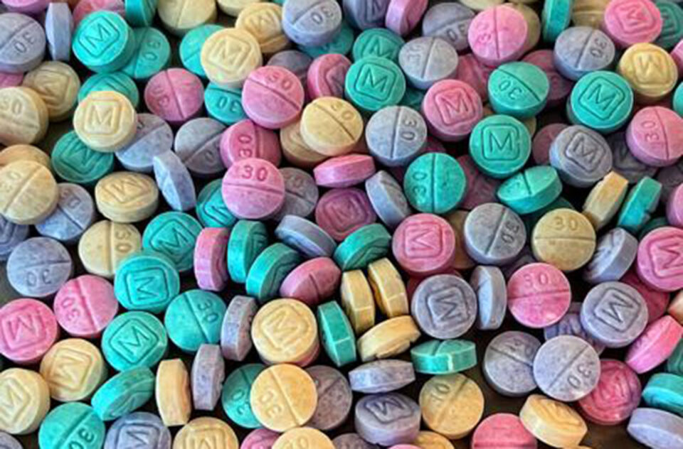 BEE HEARD: The real poison candy – The Southern Ute Drum