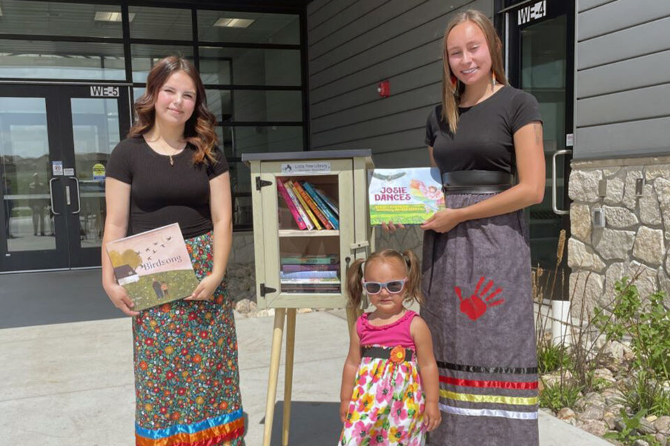 Little Free Library announces Indigenous Library Program – The Southern ...